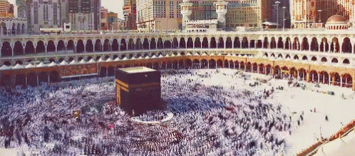 MAULA ALI (RA): The gate to the city of Knowledge – Minhaj-ul-Quran ...