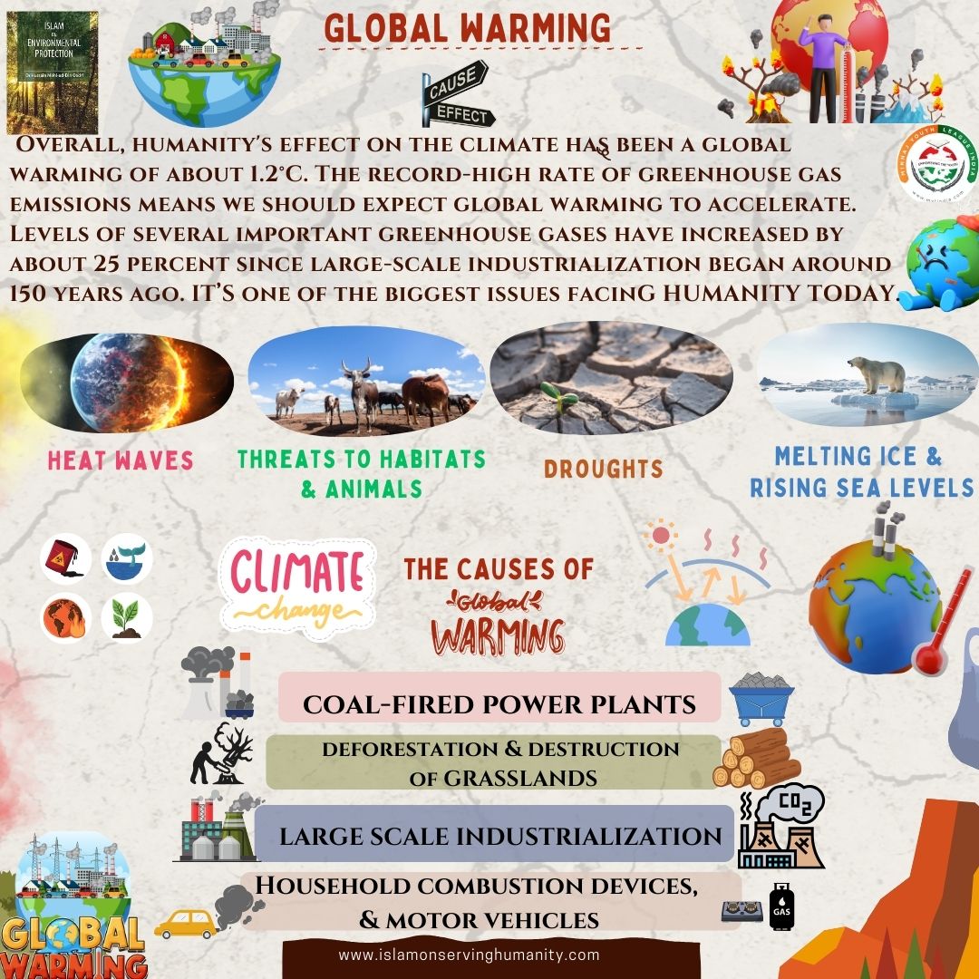 Effects Of Global Warming